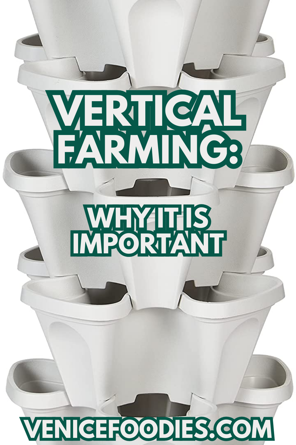 Why Vertical Farming Is the Future of Food - The Venice Foodies
